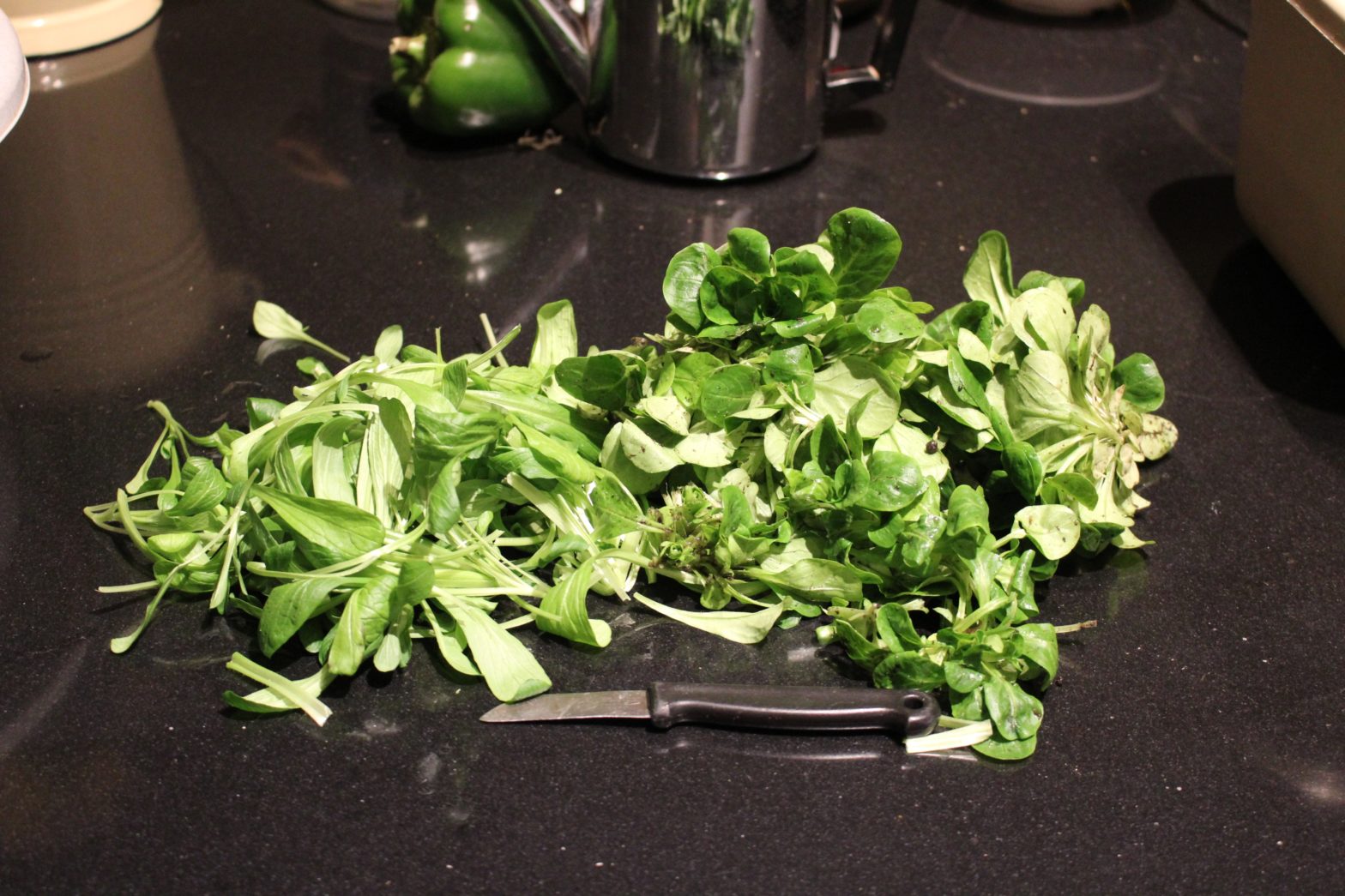 slala_9_jan_2019 – Eluke.nl